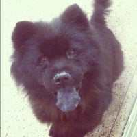 Pennsylvania SPCA - Animal Shelter in Philadelphia