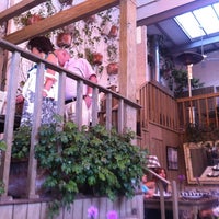 Ivoire - Polanco - 354 tips from 8510 visitors