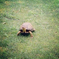 Sag Harbor Golf Club - Northwest Harbor, NY