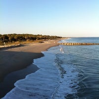 Edisto Beach - 23 tips from 1668 visitors