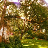 Hendricks Park - South Eugene - 5 tips from 483 visitors