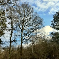 Fineshade Woods - 5 tips from 98 visitors