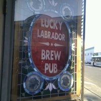 Lucky Labrador Brew Pub - 42 tips from 3658 visitors