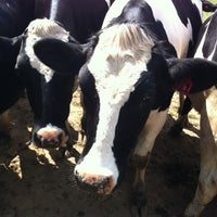 Tanner Brothers Dairy - 43 tips from 833 visitors