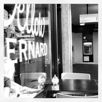 Yellow Bernard - Coffee Shop
