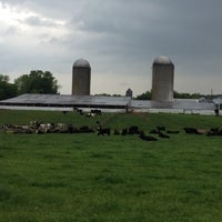 Tanner Brothers Dairy - 43 tips from 833 visitors