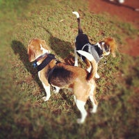 Mililani Dog Park - Mililani Town, HI