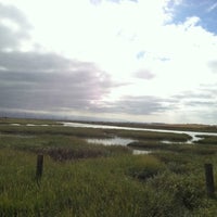 Baylands Nature Preserve - Baylands - Palo Alto, CA