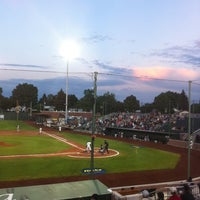 Melaleuca Field - 8 tips