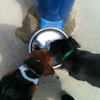 San Ramon Memorial Park - San Ramon, CA