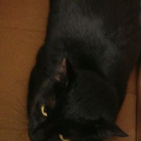 Alta Loma Animal Hospital - Rancho Cucamonga, CA