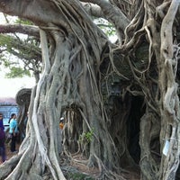 Kam Tin Tree House 錦田樹屋