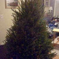 Flowerland - Wyoming, MI