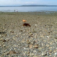 Edmonds Off-Leash Dog Park - Dog Run