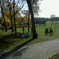 McCarty Park - 10 tips from 914 visitors