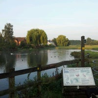 The Mill Pond - Lake