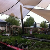 Flower Power - Garden Center