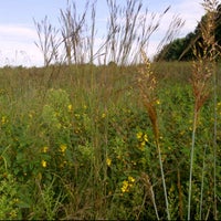 Creasey Mahan Nature Preserve - 2 tips