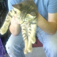 Poochie Bath & Boutique - 1 tip