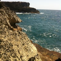 Animal Flower Cave - Cave