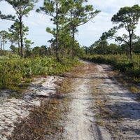 Seabranch Preserve State Park - 9 tips