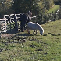 Bede's World - 3 tips