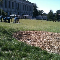 Memorial Glade - University of California-Berkeley - 5 tips from 1139 ...