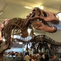 Tyrannosaurus Rex - Upper West Side - 200 Central Park W