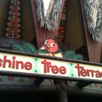 Sunshine Tree Terrace - Walt Disney World Resort - Lake Buena Vista, FL