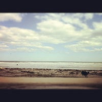 Jenness State Beach - Beach in Rye