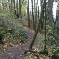 Discovery Park Loop Trail - Trail in Seattle