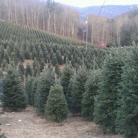 Big Ridge Tree Farm - Boone, NC
