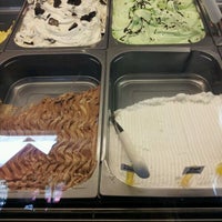 Java Cat - Madison, WI