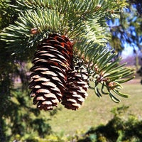 Parc Maisonneuve - Park in Rosemont-La Petite-Patrie