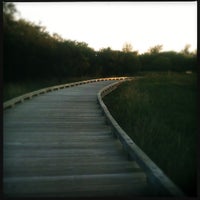 Cuba Marsh Forest Preserve - Nature Preserve