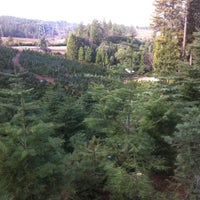 Indian Rock Tree Farm - Camino, CA