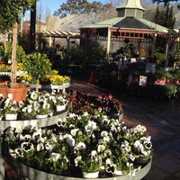 Flower Power - Garden Center