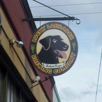 Lucky Labrador Brew Pub - 42 tips from 3658 visitors