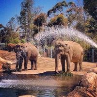 Elephant Odyssey - Balboa Park - San Diego, CA