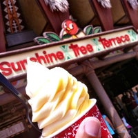 Sunshine Tree Terrace - Walt Disney World Resort - Lake Buena Vista, FL