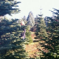 Rapetti Farms - Farm