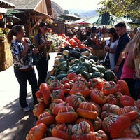 Avila Valley Barn - Farm