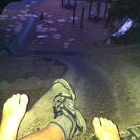 Codornices Park - Berkeley Hills - 18 tips from 1027 visitors