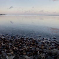 Puttalam Lagoon - 2 tips from 139 visitors