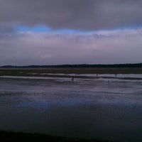 Netarts Bay Shellfish Preserve - Nature Preserve in Tillamook