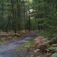 Midland City Forest - Park