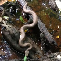 Congaree National Park - 11 tips from 882 visitors