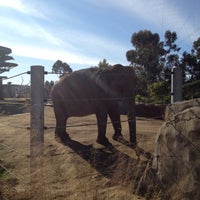 Elephant Odyssey - Balboa Park - San Diego, CA