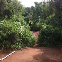 Kipu Falls - 4 tips from 91 visitors
