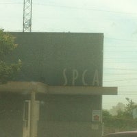 Hamilton SPCA - Hamilton, ON